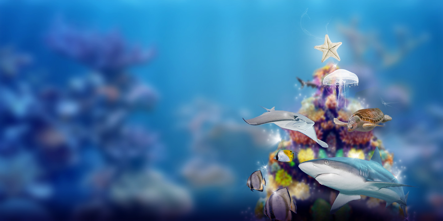 Atlantis Aquarium Madrid: Sumérgete en un Mundo Acuático